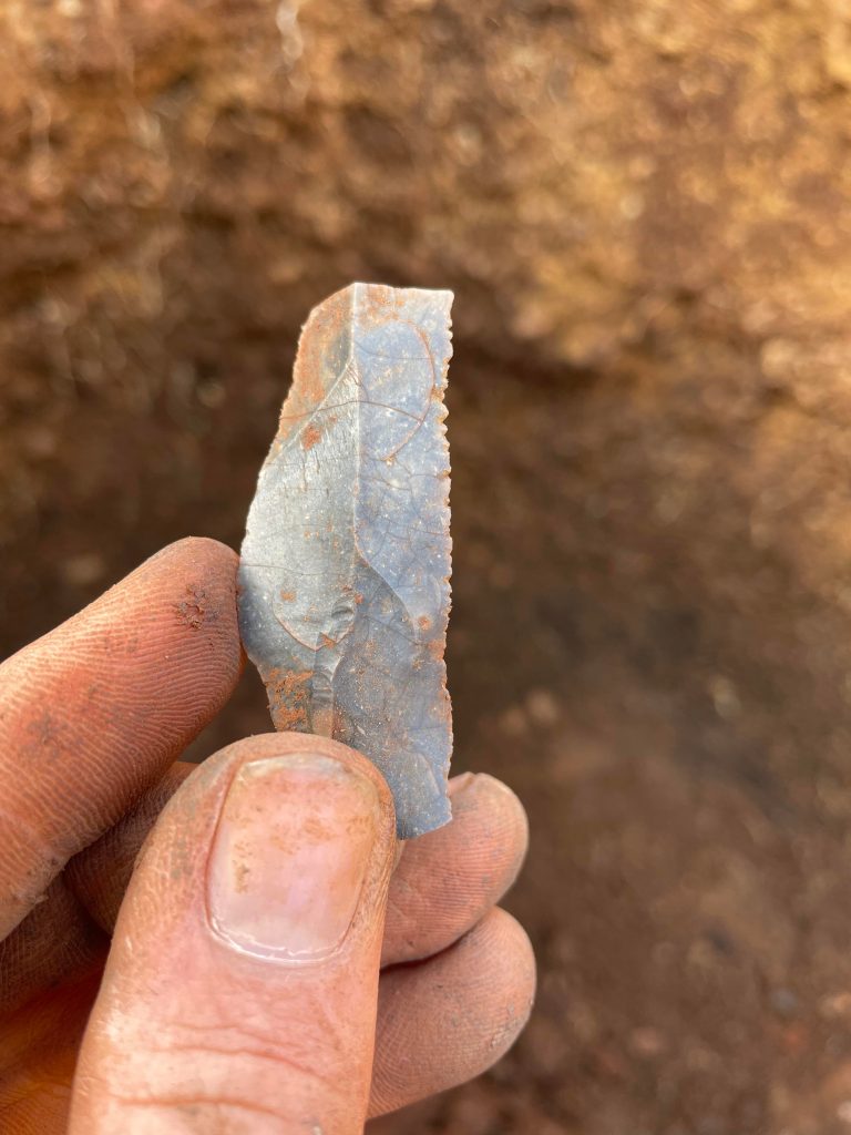 Open Day and Ongoing Excavations at Butts Piece, Stanton Harcourt ...